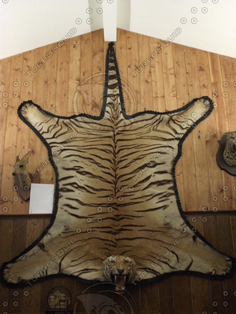 Tiger Textures - TurboSquid 283304