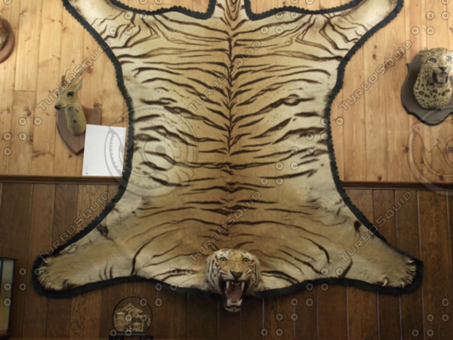 Tiger Textures - TurboSquid 283304