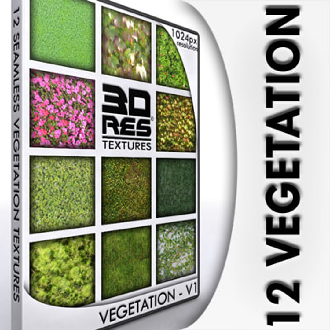 12 Vegetation Textures - TurboSquid 279851