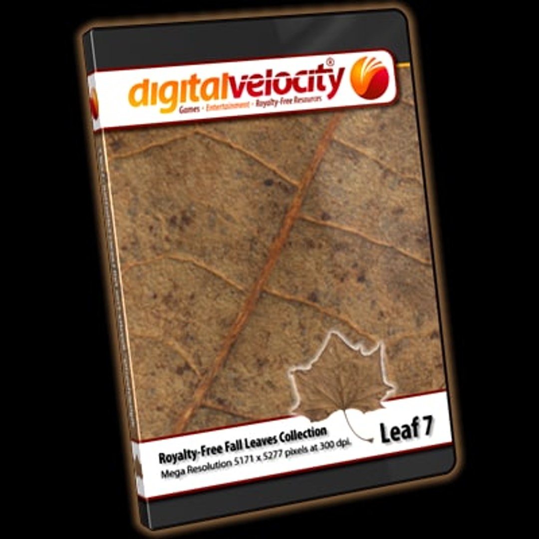 Leaf 07 - Fall Colors in Full Color - TurboSquid 283376