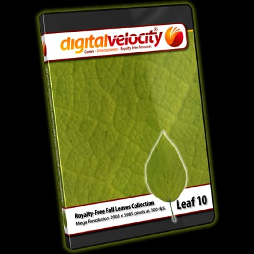 Leaf 10 - Fall Colors In Full Color - TurboSquid 283458