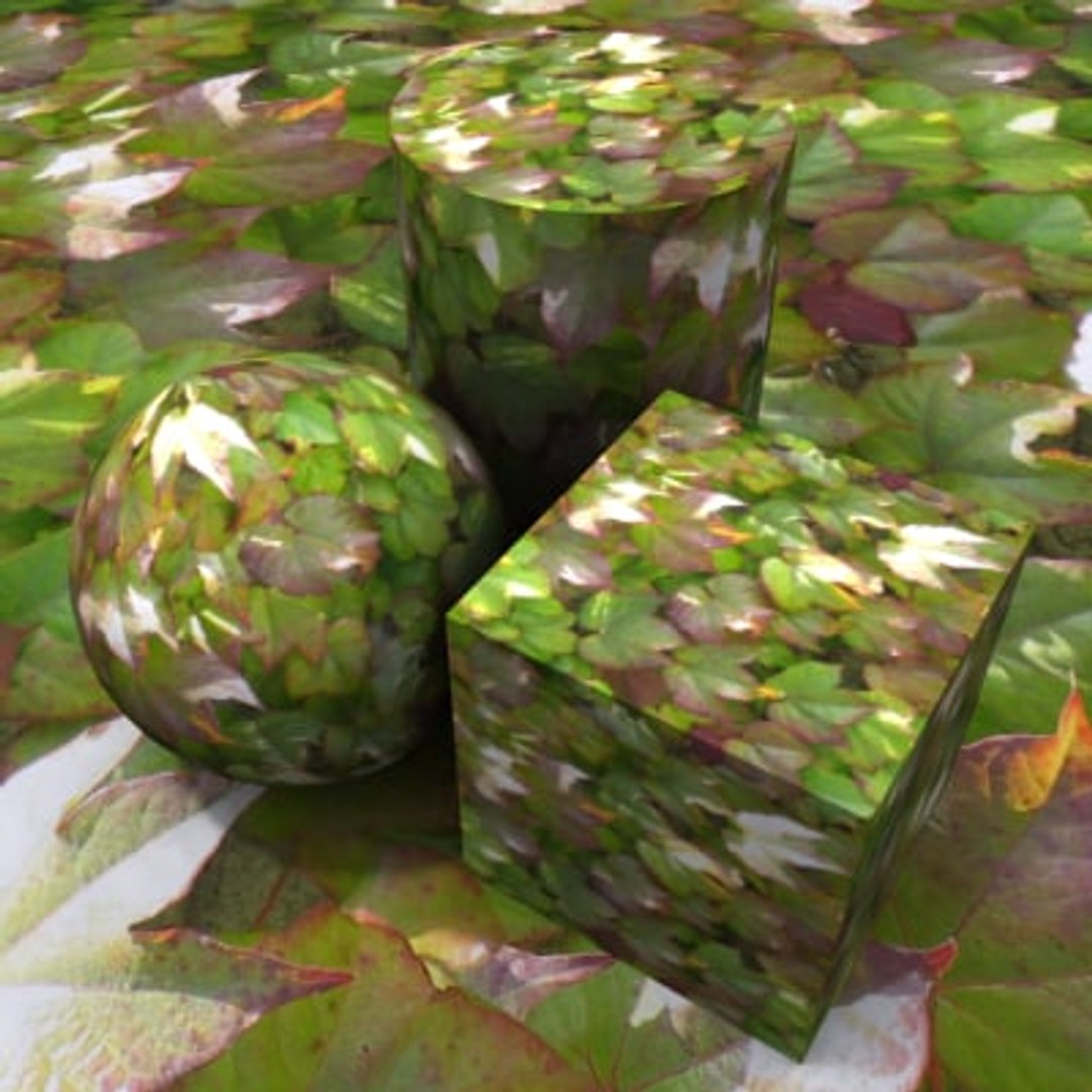 12 Vegetation Textures - TurboSquid 279851