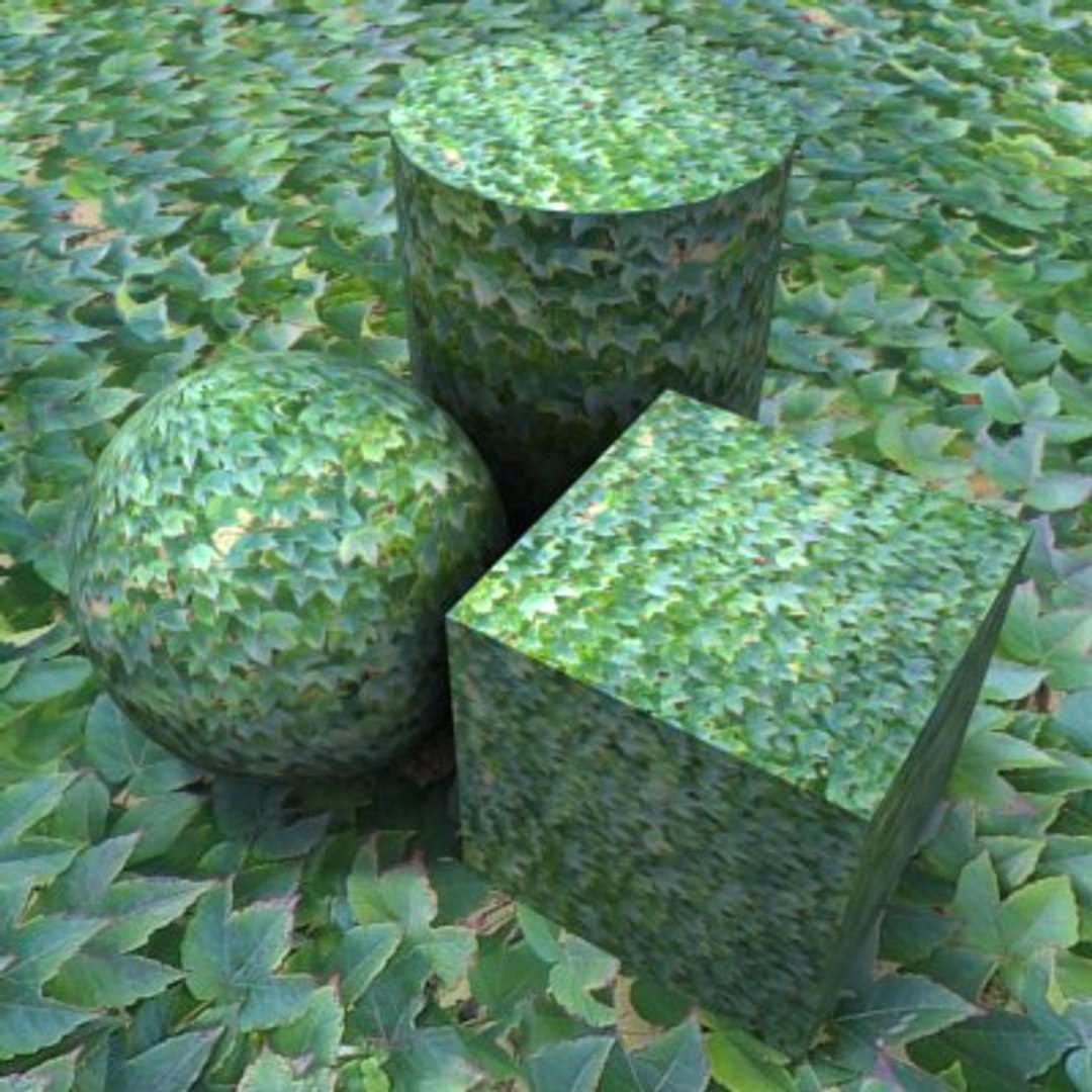 12 Vegetation Textures - TurboSquid 279851