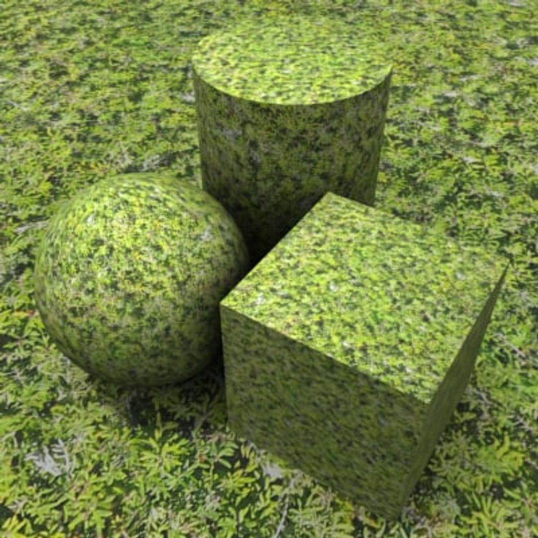 12 Vegetation Textures - TurboSquid 279851