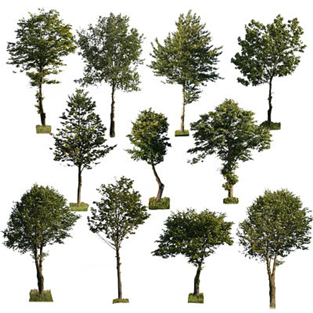 Trees 11 - TurboSquid 287445