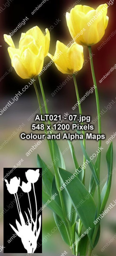 Flowers & Plants Vol.1 - TurboSquid 294844