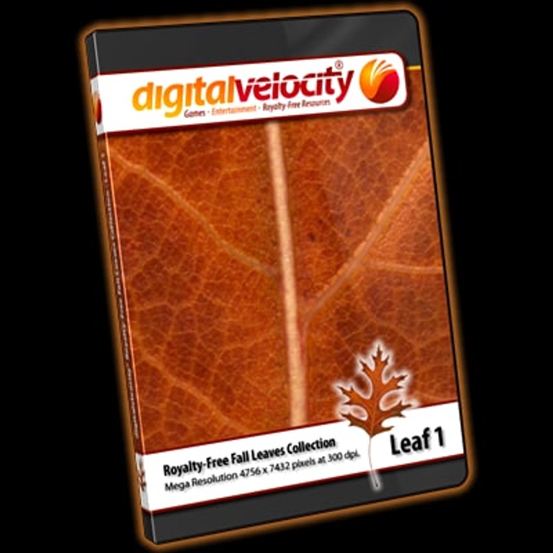 Leaf 01 - Fall Colors In Full Color - TurboSquid 283365