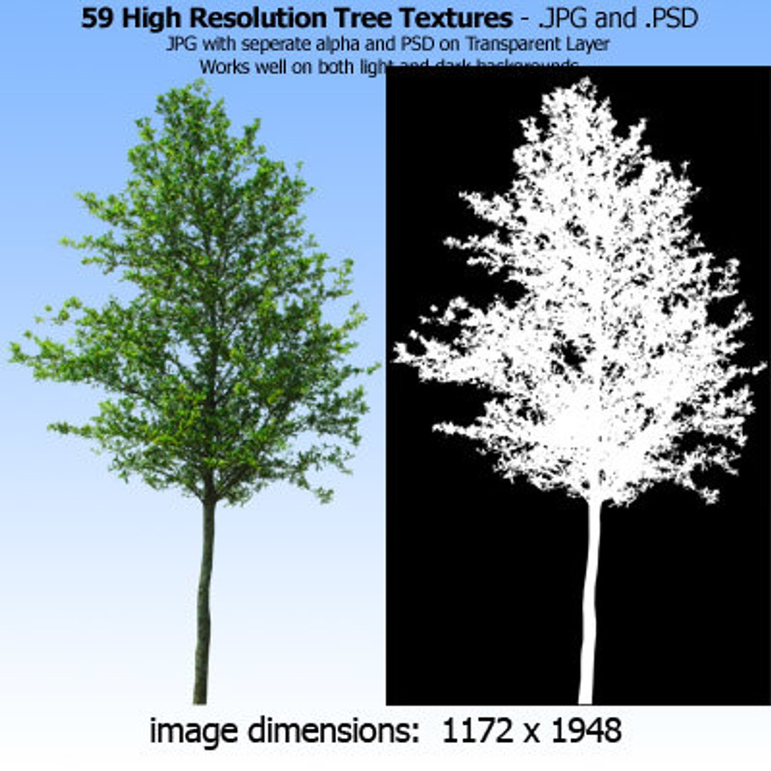 59-Tree-Textures-Full - TurboSquid 295486