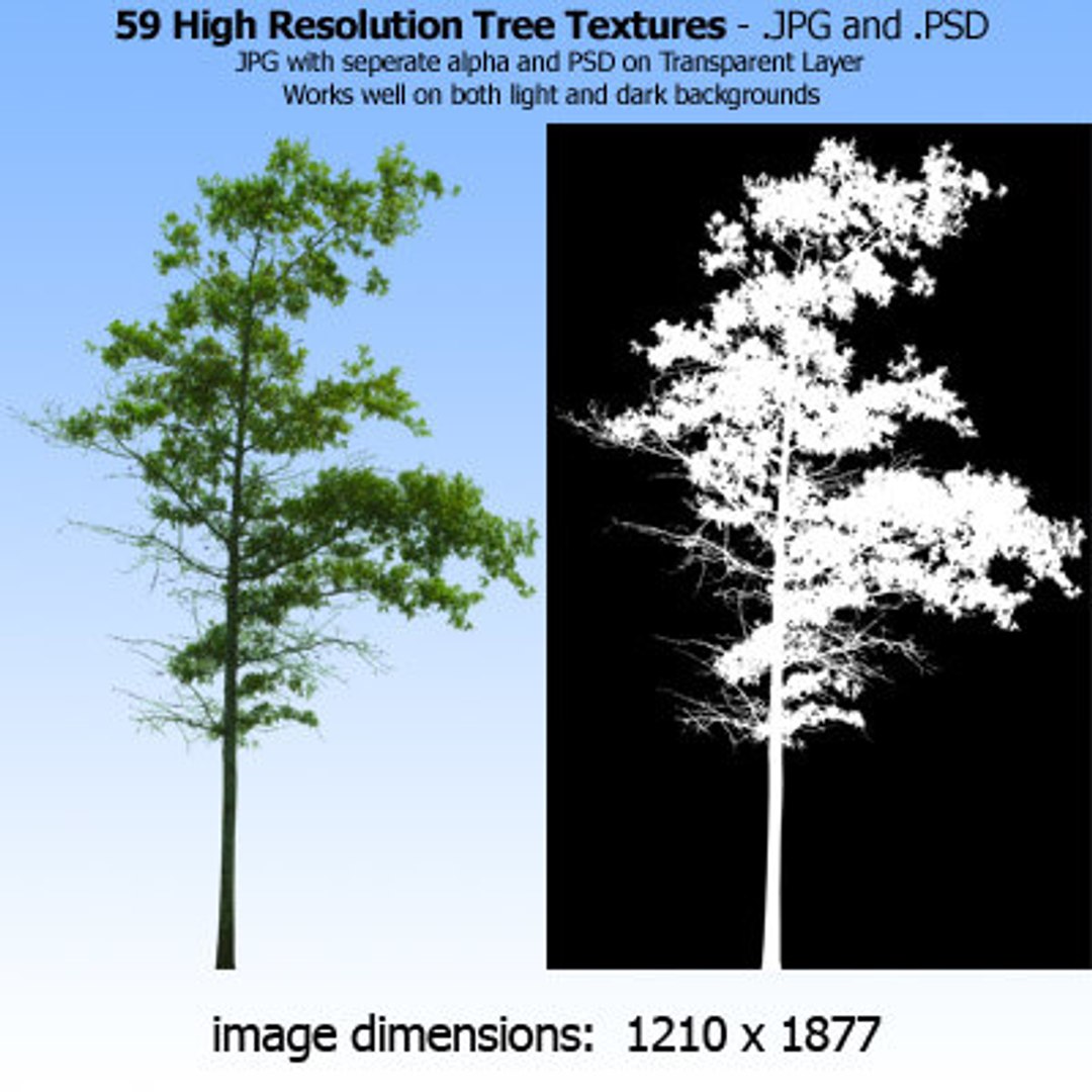 59-Tree-Textures-Full - TurboSquid 295486