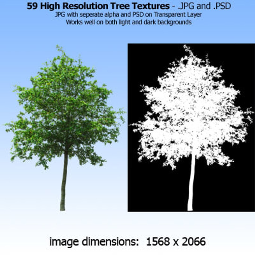59-Tree-Textures-Full - TurboSquid 295486