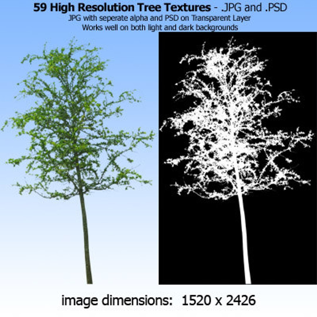 59-Tree-Textures-Full - TurboSquid 295486