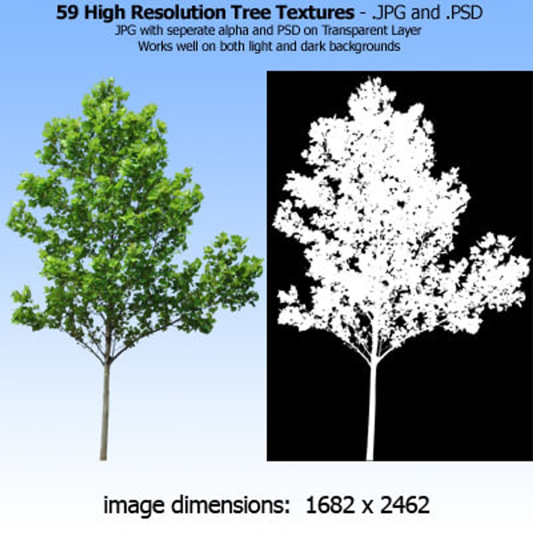 59-Tree-Textures-Full - TurboSquid 295486