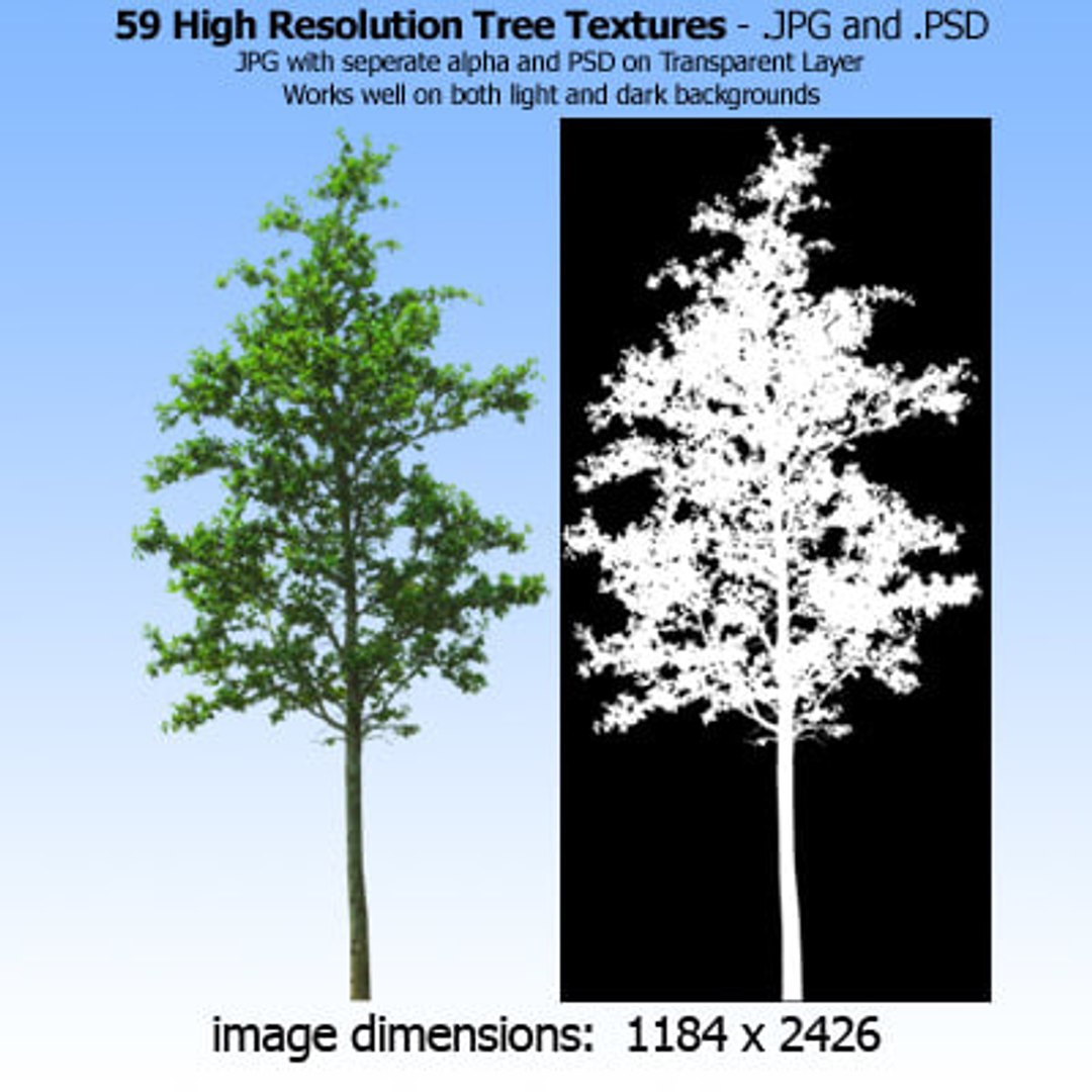 59-Tree-Textures-Full - TurboSquid 295486