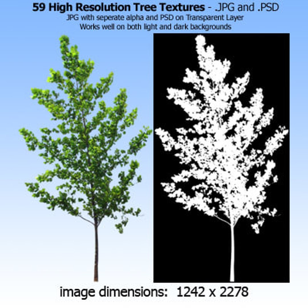 59-Tree-Textures-Full - TurboSquid 295486