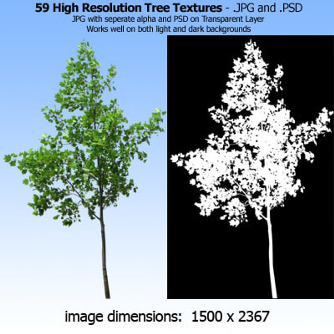 59-Tree-Textures-Full - TurboSquid 295486