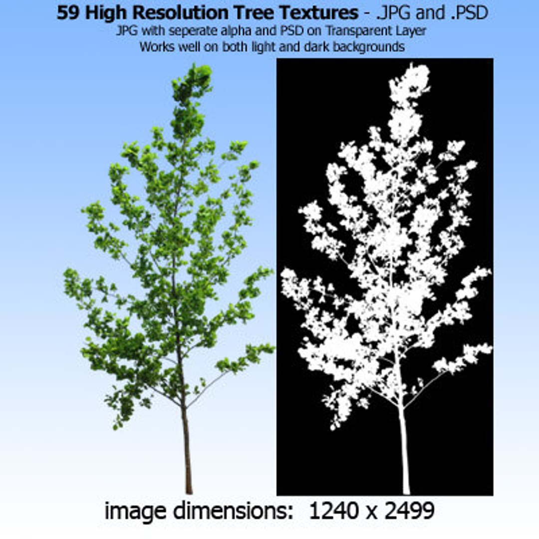 59-Tree-Textures-Full - TurboSquid 295486