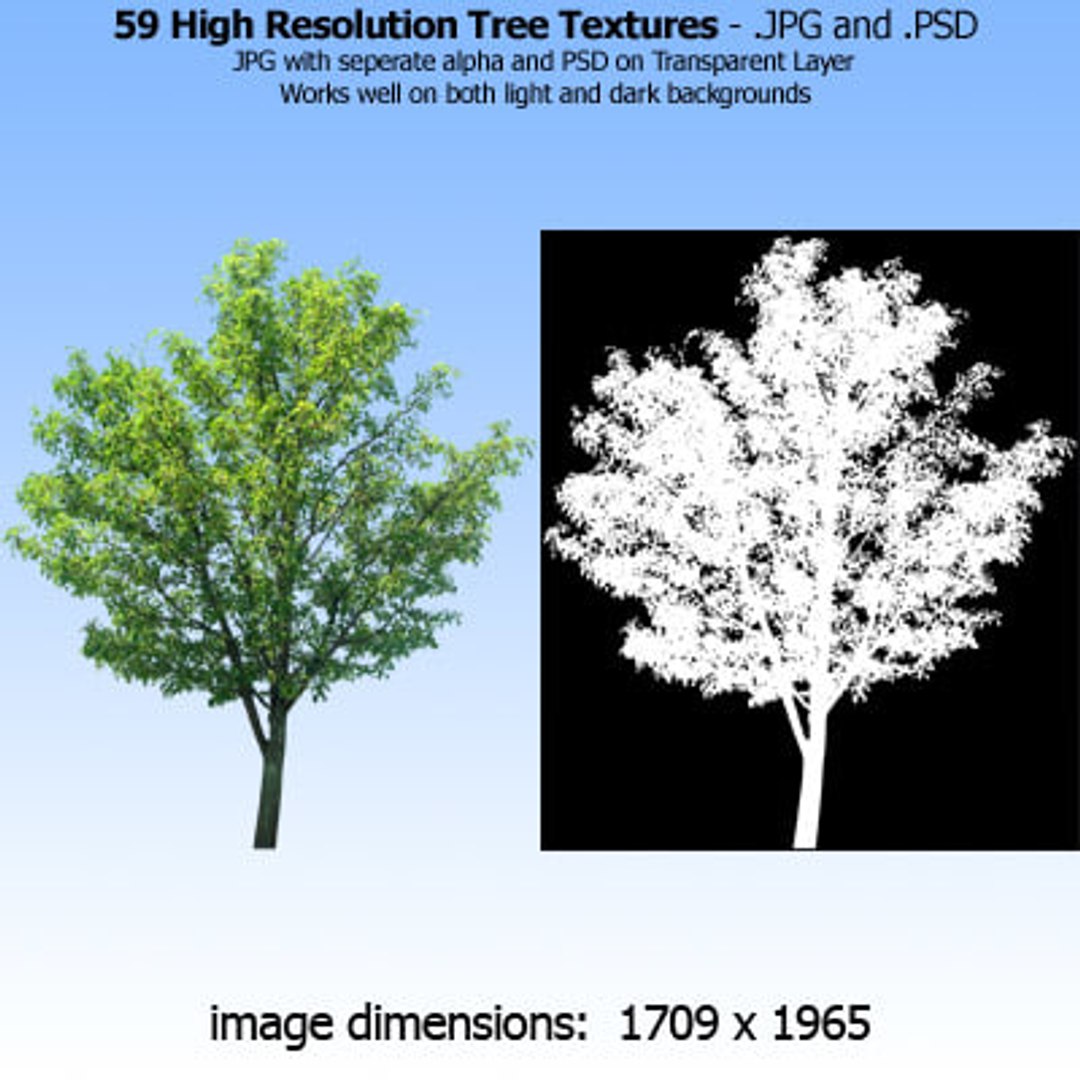 59-Tree-Textures-Full - TurboSquid 295486