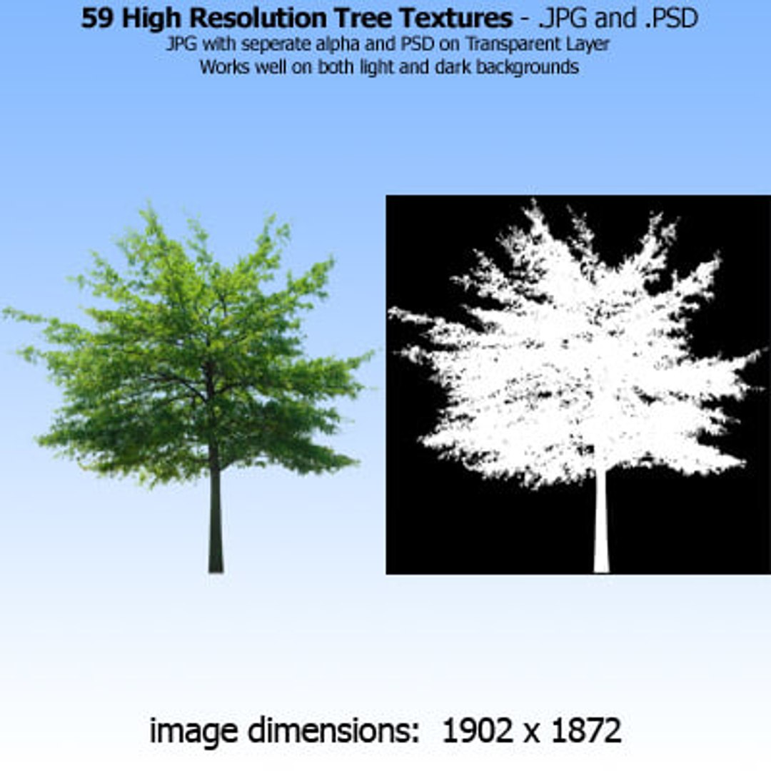 59-Tree-Textures-Full - TurboSquid 295486