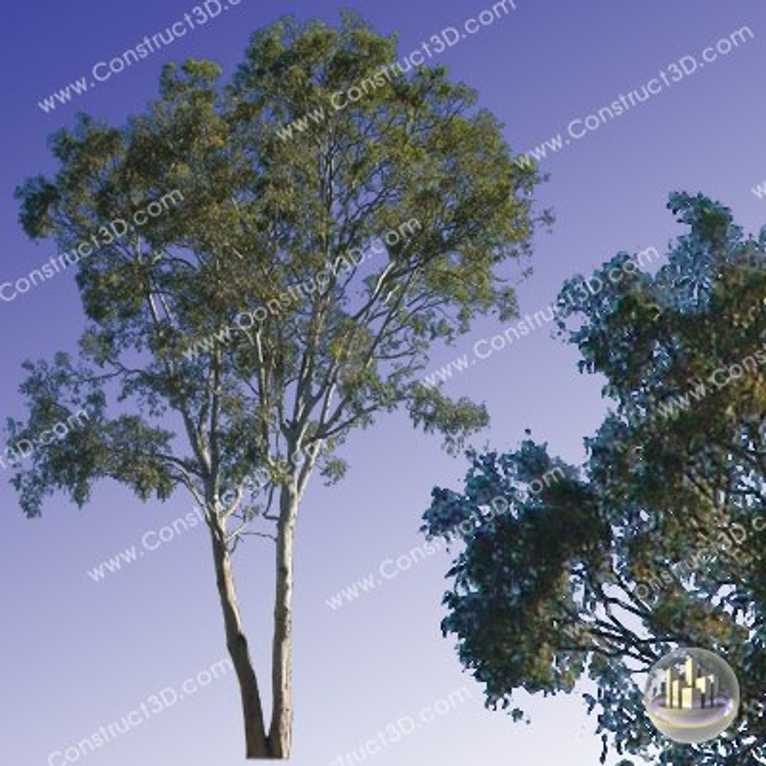 c3d_outback_tree_010.png - TurboSquid 308554