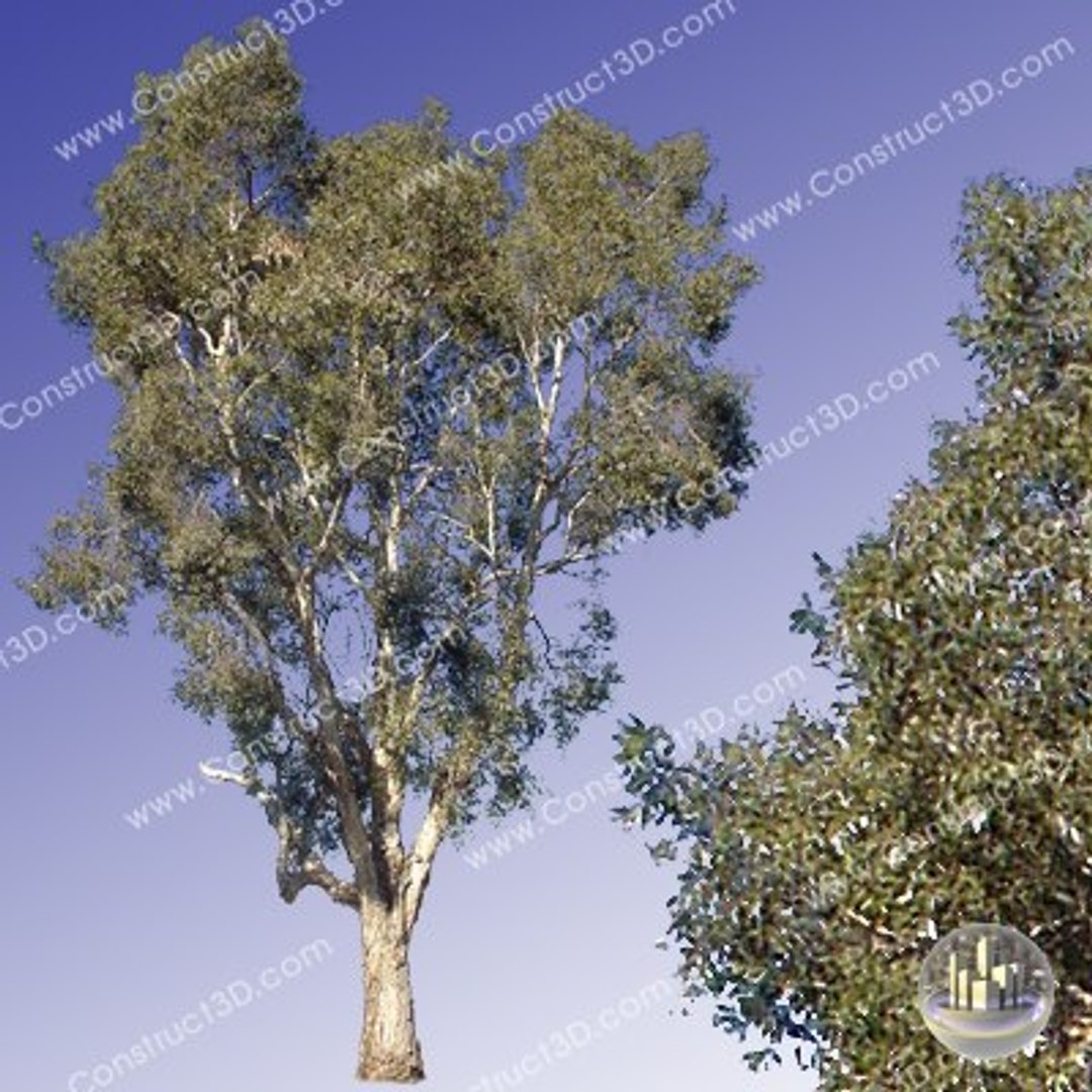 C3d_outback_tree_018.png - TurboSquid 308564