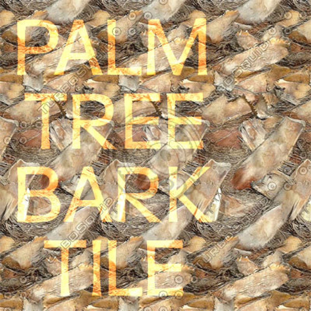 palmBark.jpg - TurboSquid 308466