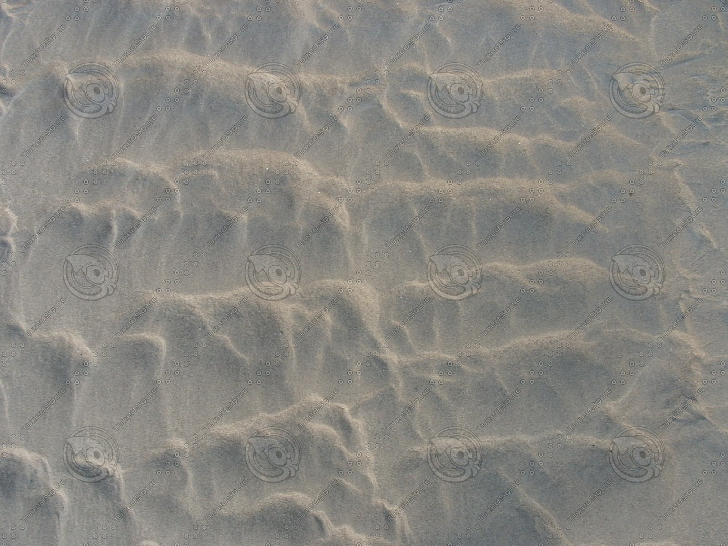 Sandripple.JPG - TurboSquid 286461