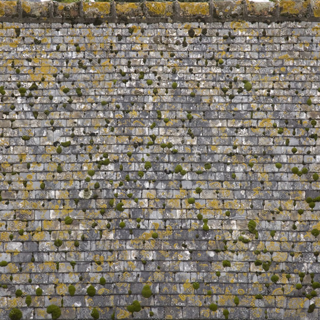 Mossy Slate Roof High Resolution - TurboSquid 308830