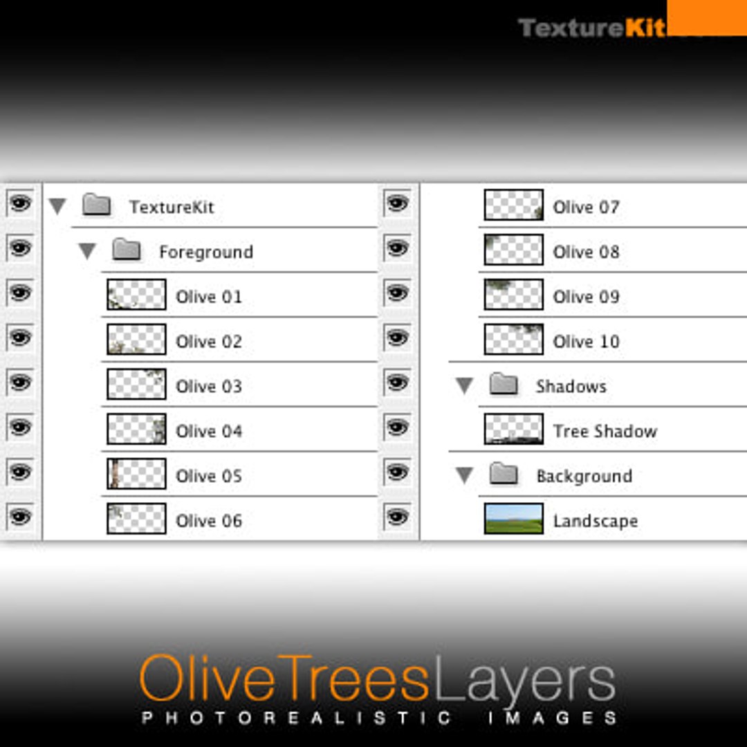 Olive Trees Branches Layers - TurboSquid 337436