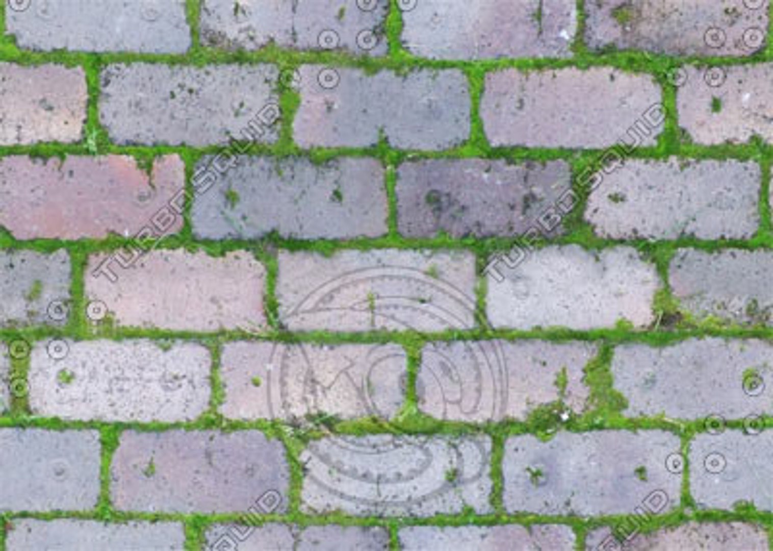 Mossy Bricks Texture - TurboSquid 315413