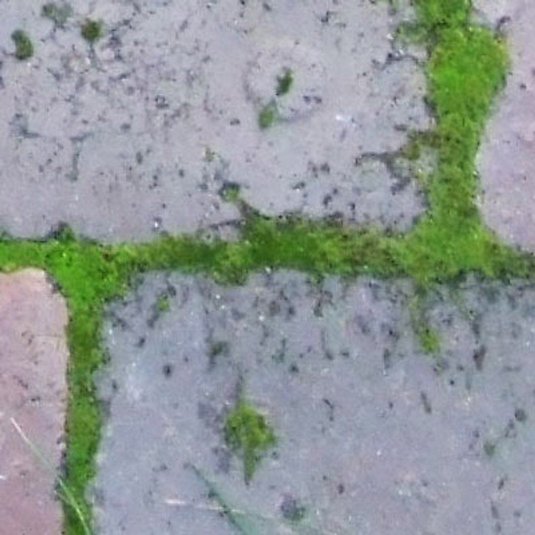 Mossy Bricks Texture - TurboSquid 315413