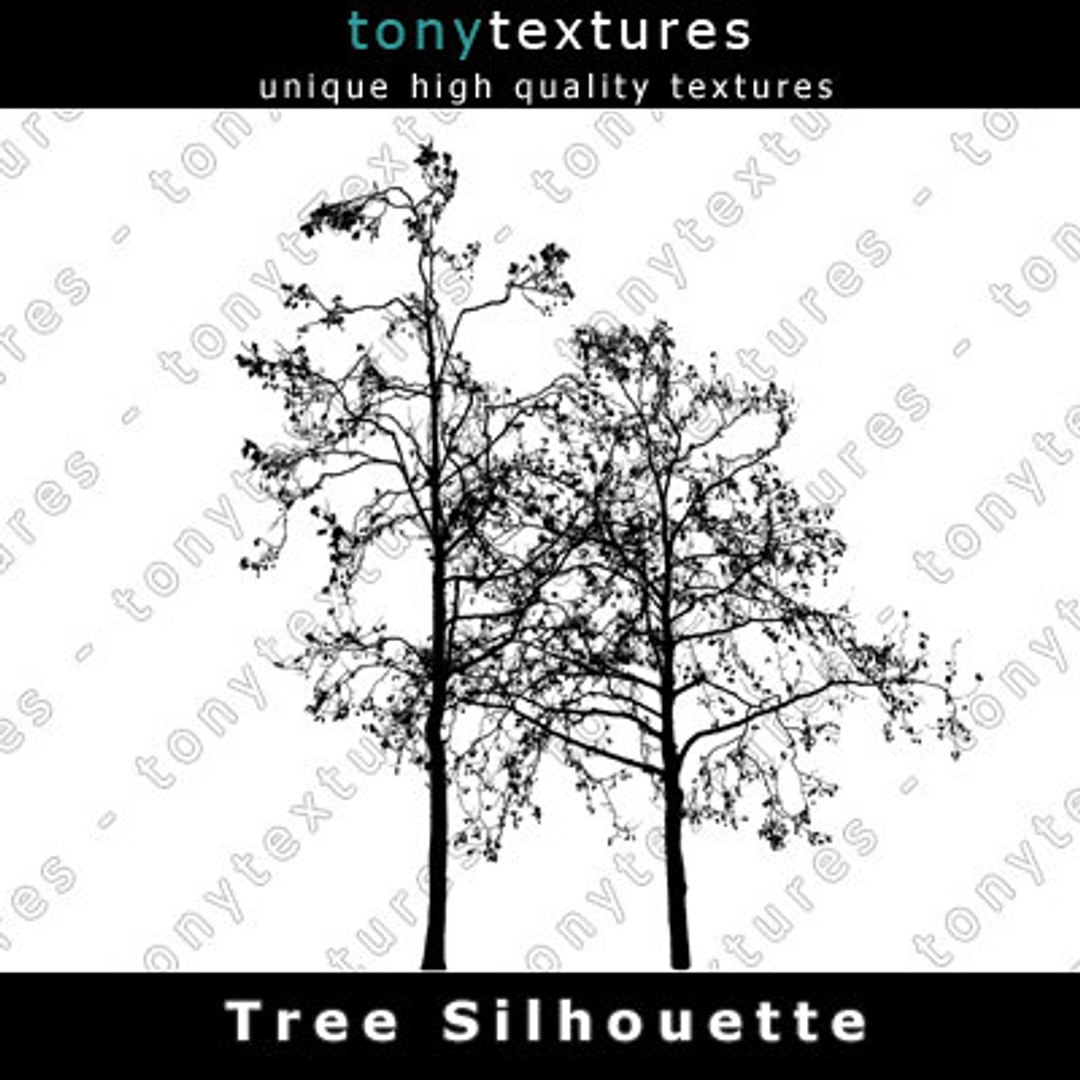 55 Tree Silhouettes (Collection) - TurboSquid 339624