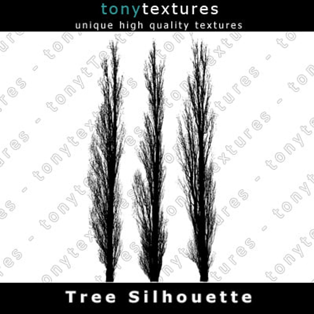 55 Tree Silhouettes (Collection) - TurboSquid 339624