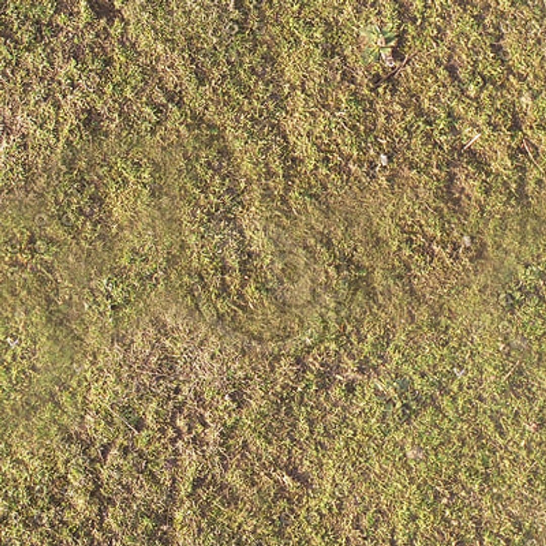 bgrass-c.jpg - TurboSquid 341289