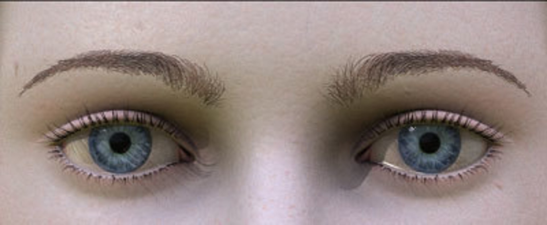 Eyebrows - TurboSquid 330196