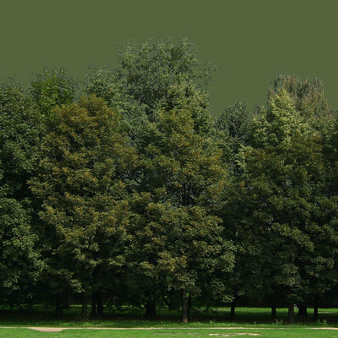 Treeline1 - TurboSquid 330180