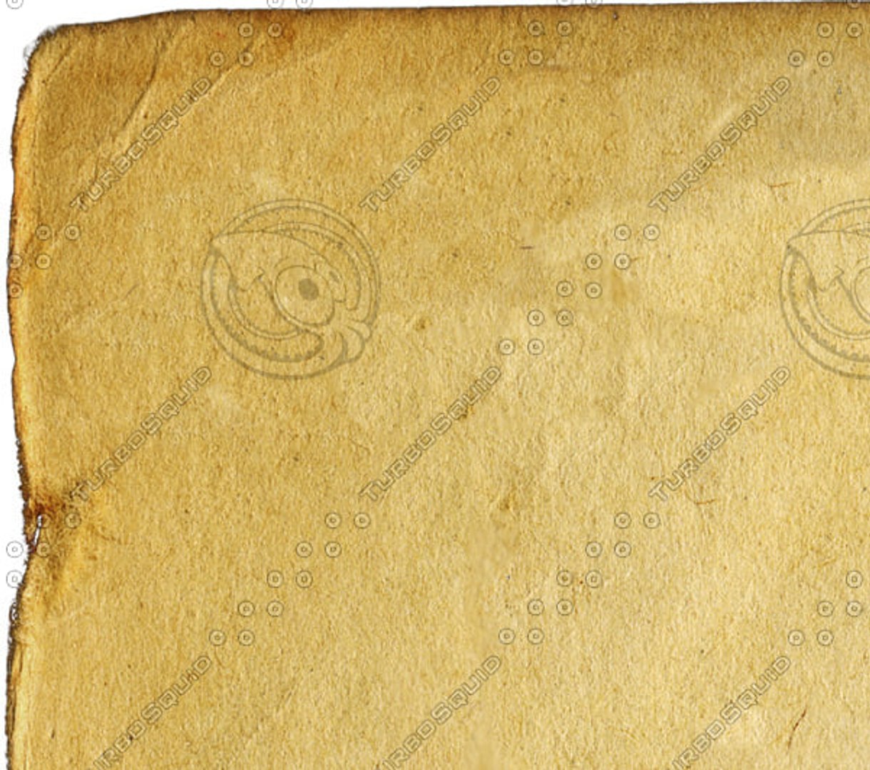 parchment.jpg - TurboSquid 338932