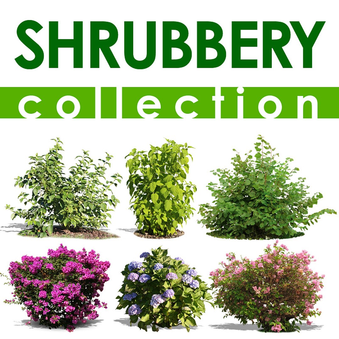 Shrubbery Collection - TurboSquid 352404