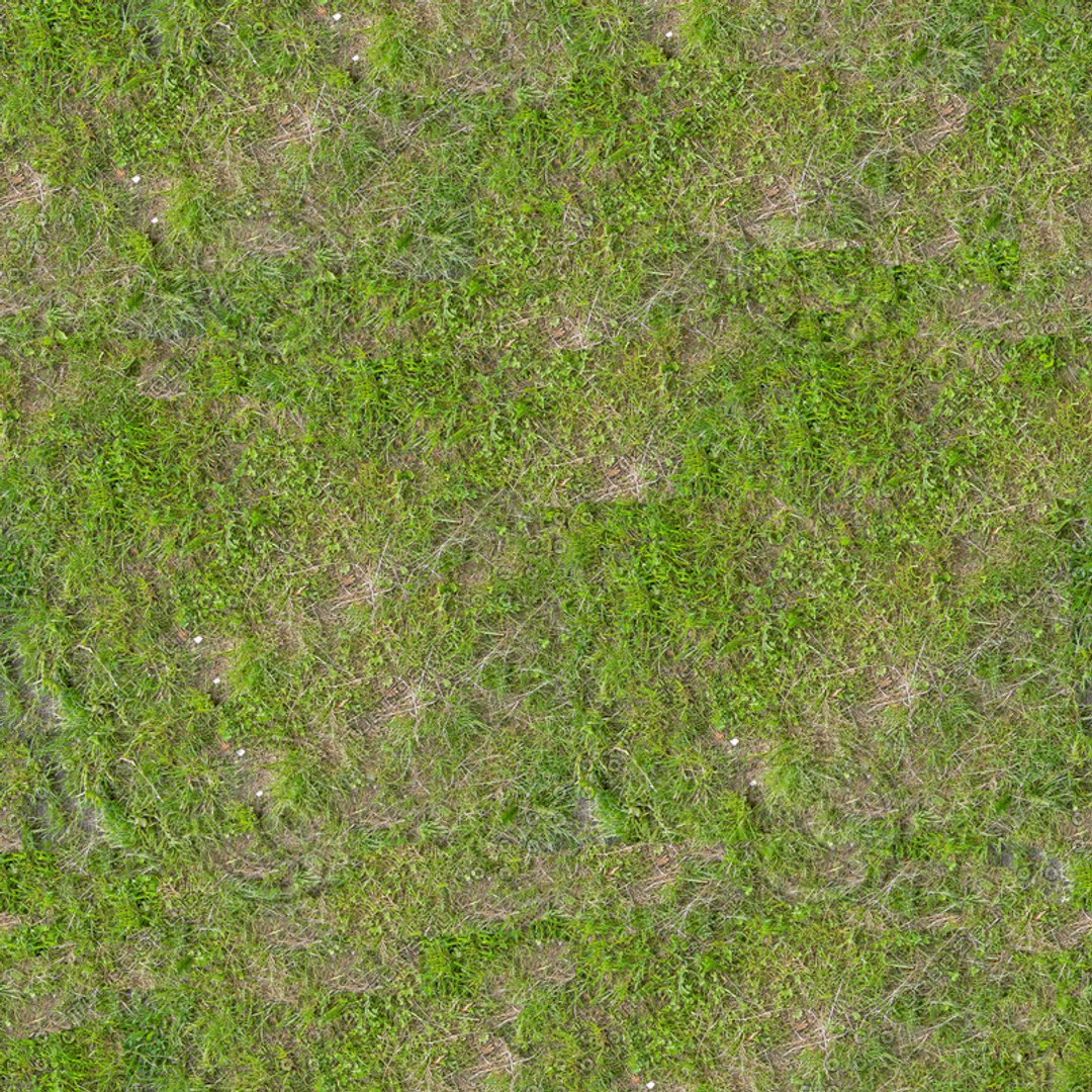 Grass008 - TurboSquid 364237