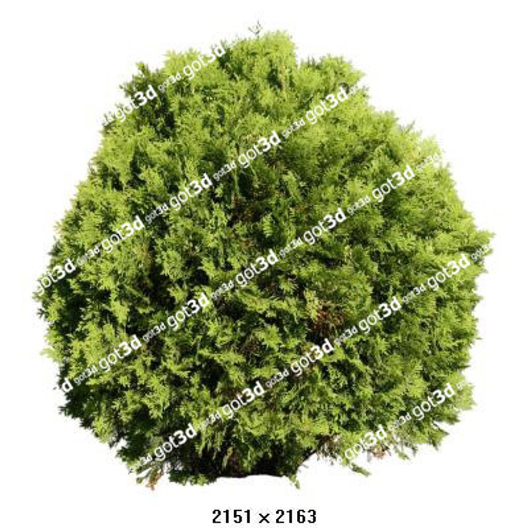 35 Bush Textures - Vol. 4 - TurboSquid 385039