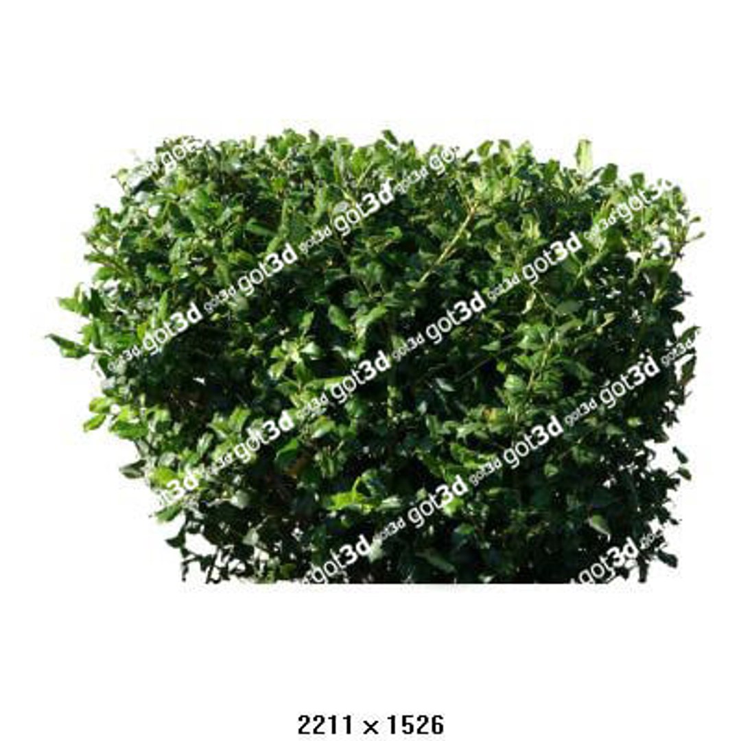 35 Bush Textures - Vol. 4 - TurboSquid 385039