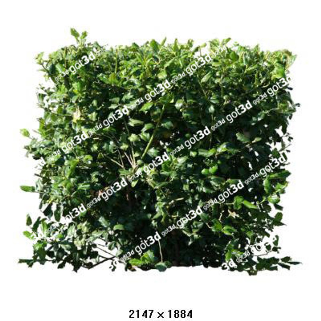 35 Bush Textures - Vol. 4 - TurboSquid 385039