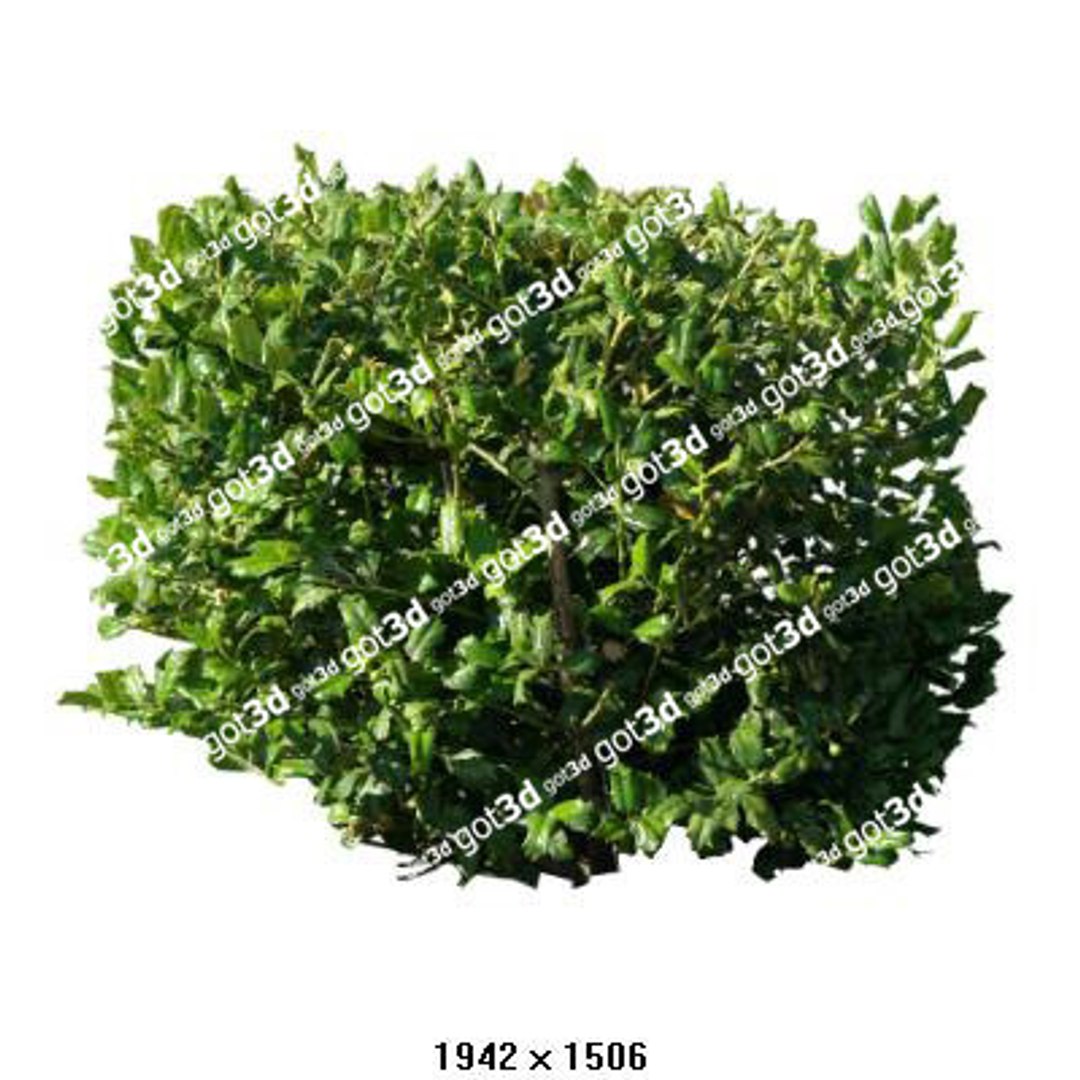 35 Bush Textures - Vol. 4 - TurboSquid 385039