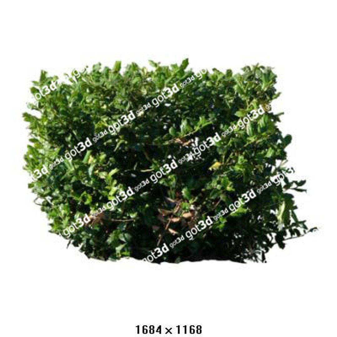 35 Bush Textures - Vol. 4 - TurboSquid 385039