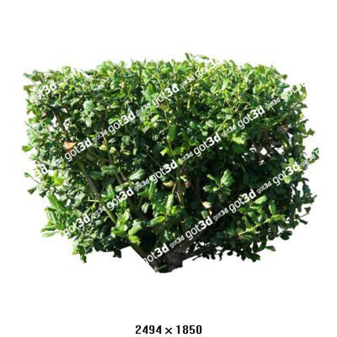 35 Bush Textures - Vol. 4 - TurboSquid 385039