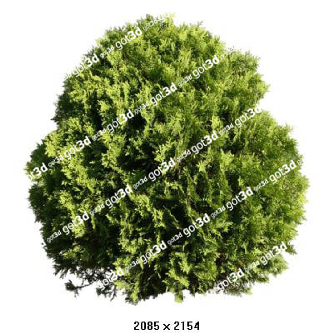 35 Bush Textures - Vol. 4 - TurboSquid 385039