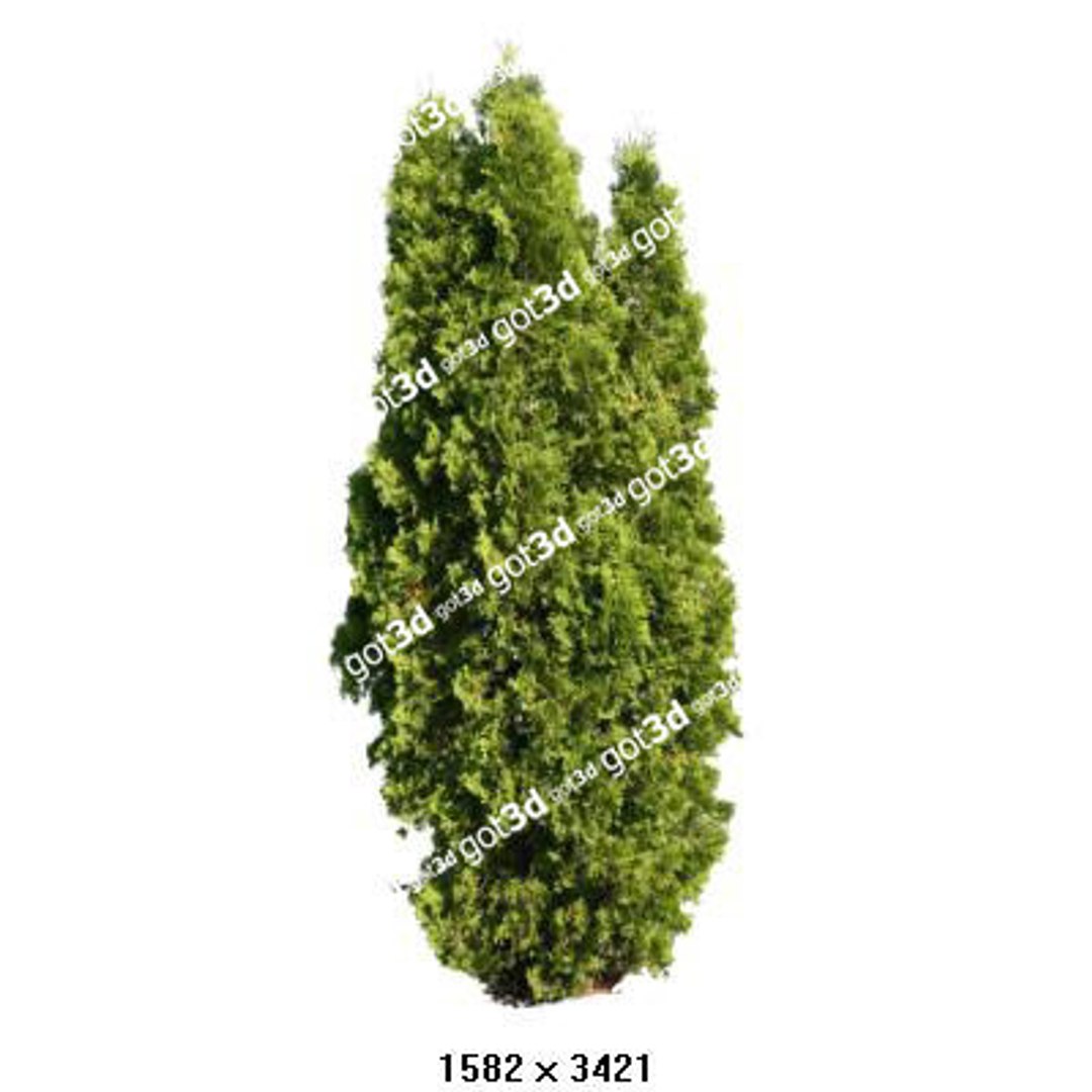 35 Bush Textures - Vol. 4 - TurboSquid 385039