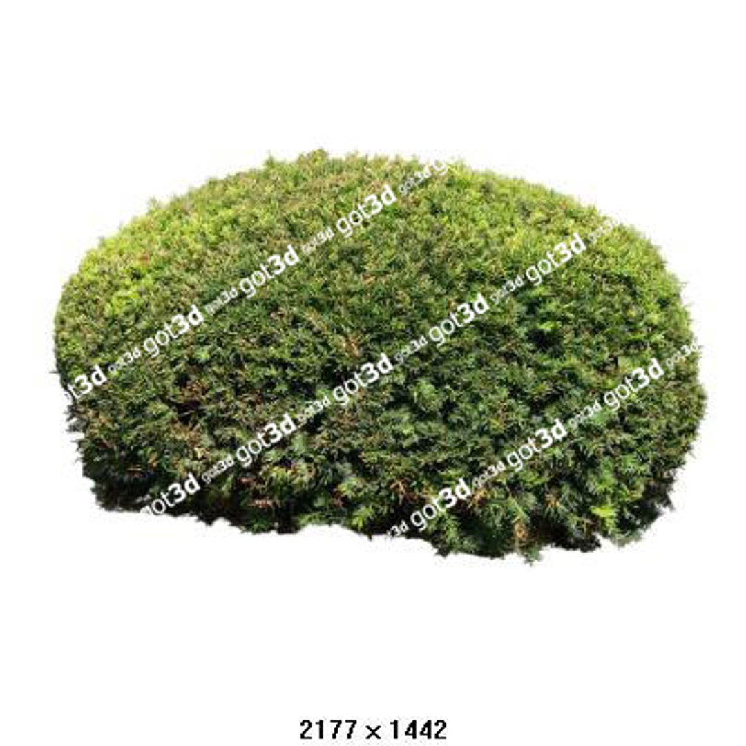 35 Bush Textures - Vol. 4 - TurboSquid 385039