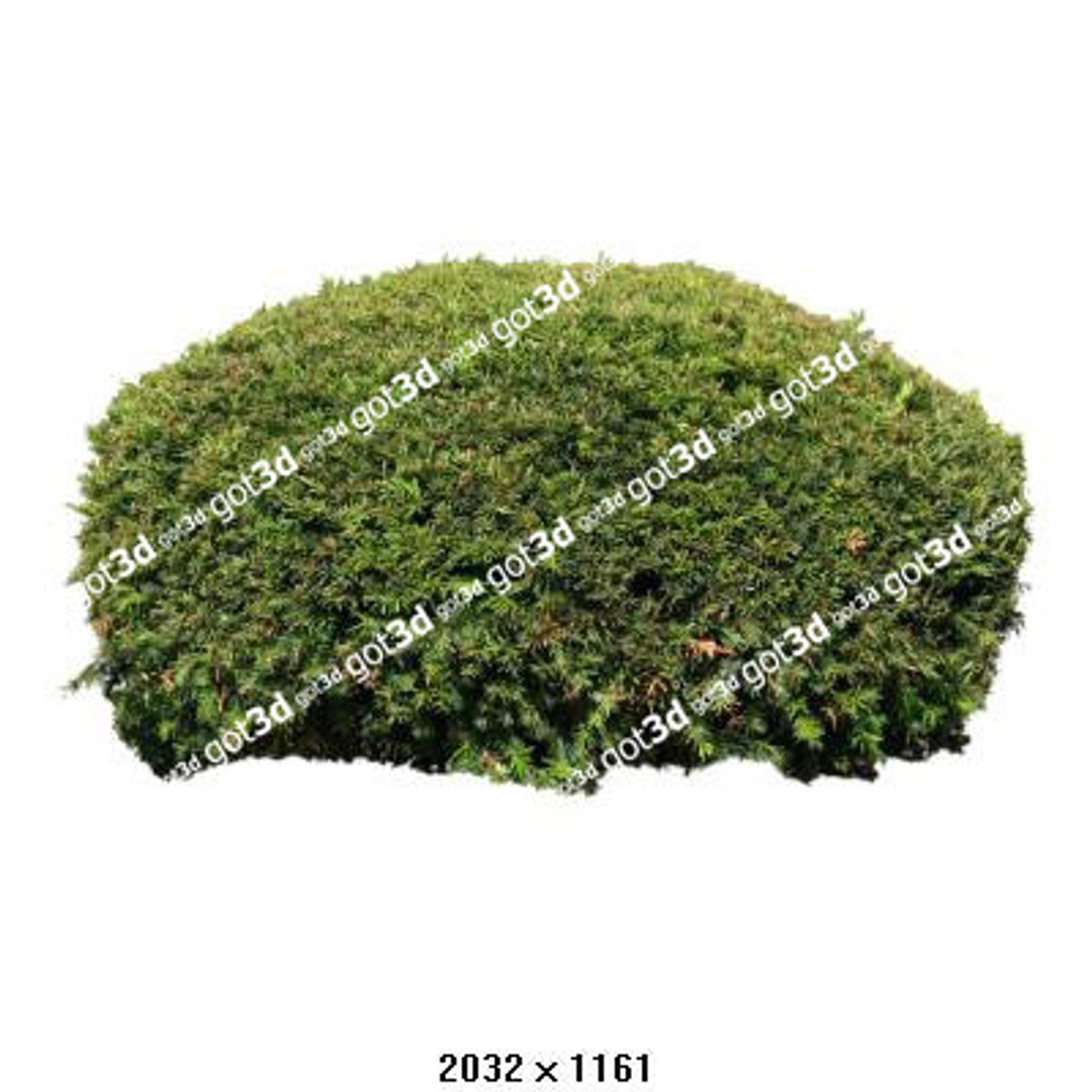 35 Bush Textures - Vol. 4 - TurboSquid 385039