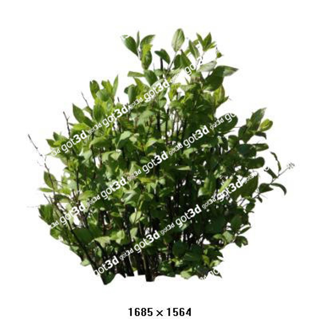 35 Bush Textures - Vol. 4 - TurboSquid 385039