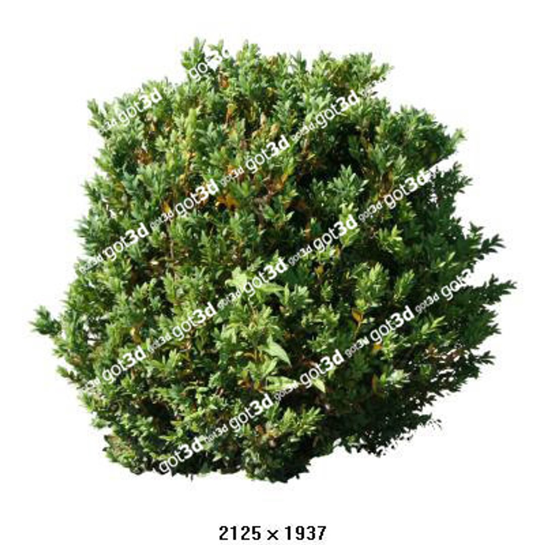 35 Bush Textures - Vol. 4 - TurboSquid 385039